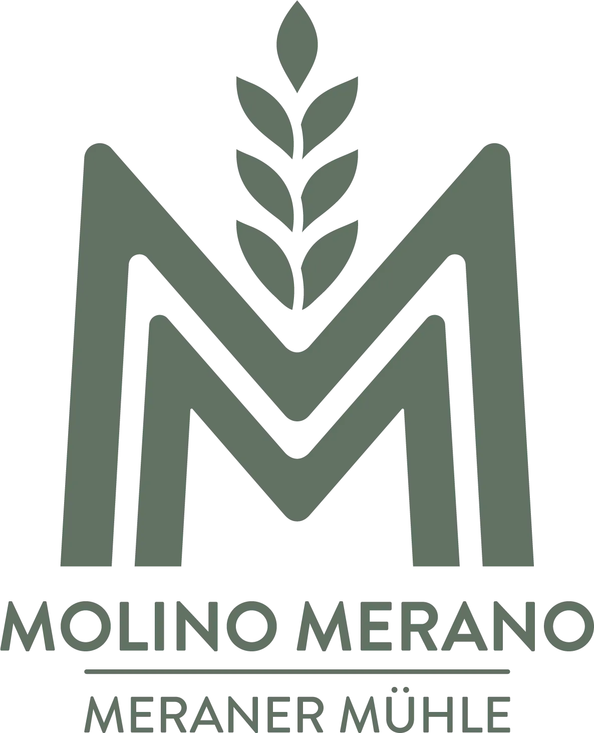 Contact Us | Molino Merano Business